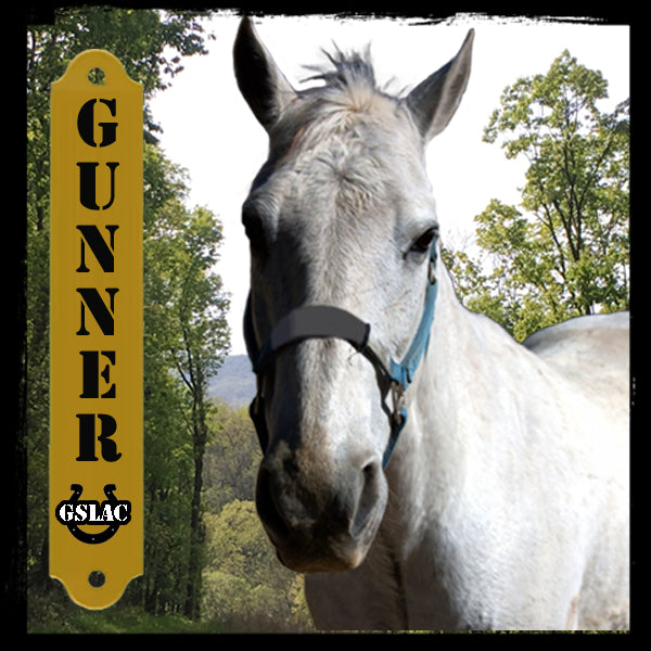 Sticker 3" Horse - Gunner – Gateway Traders